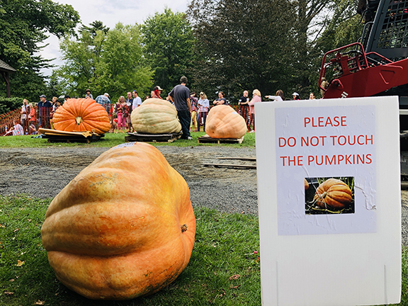 The Great Pumpkin Weigh Off Begins their Second Decade Sept/Oct 2023