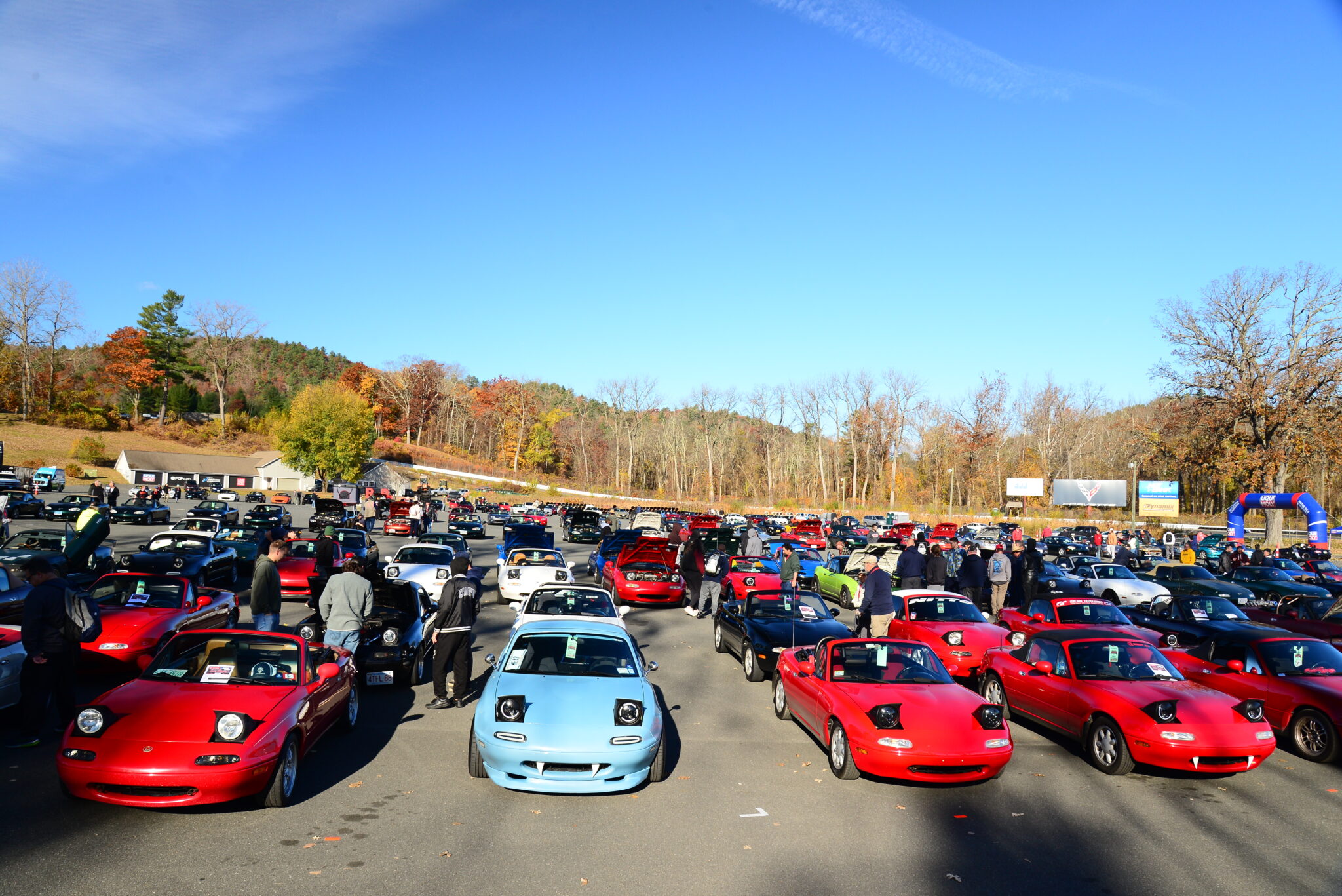Ride or Die: How Drivers Turn Cars into Communities